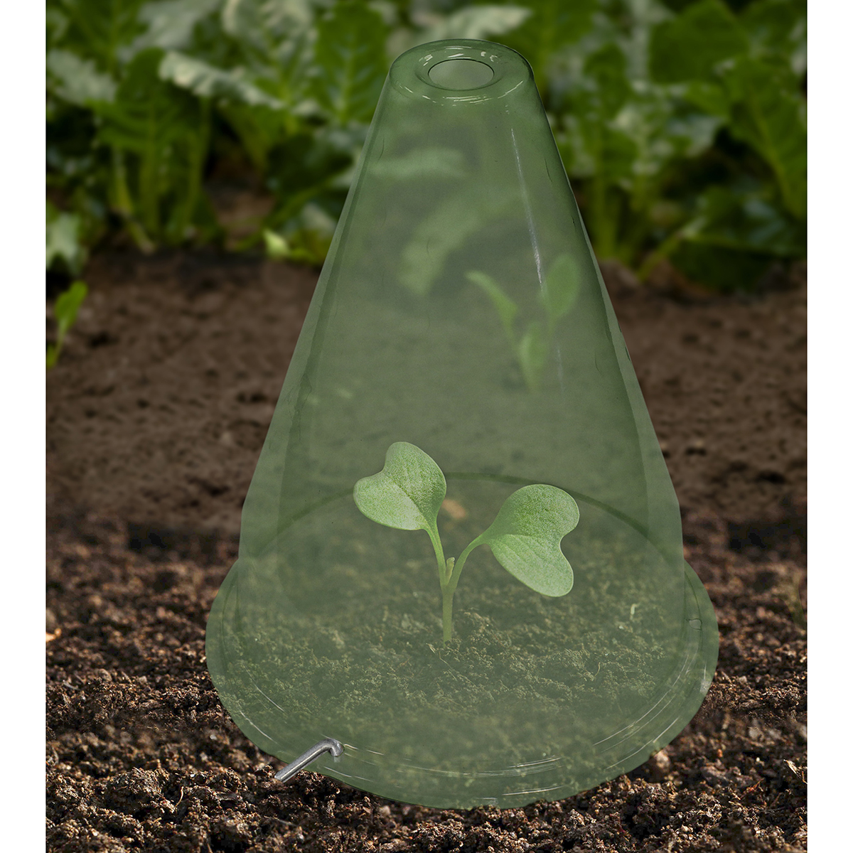 Pest Deterrents: Greenhouse Grow Cones
