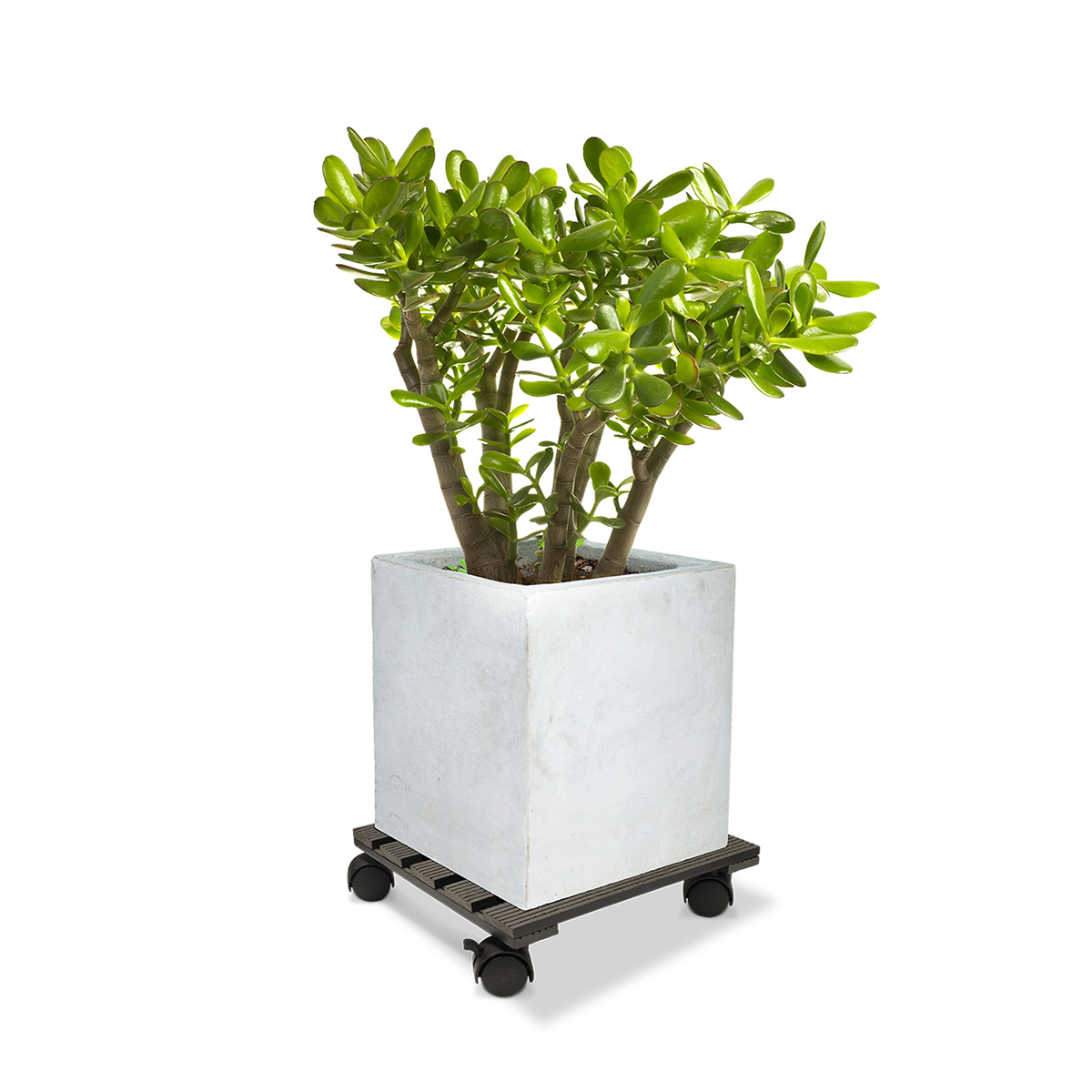 Plant Stands: Wood-Poly Composite Square Pot Trolleys