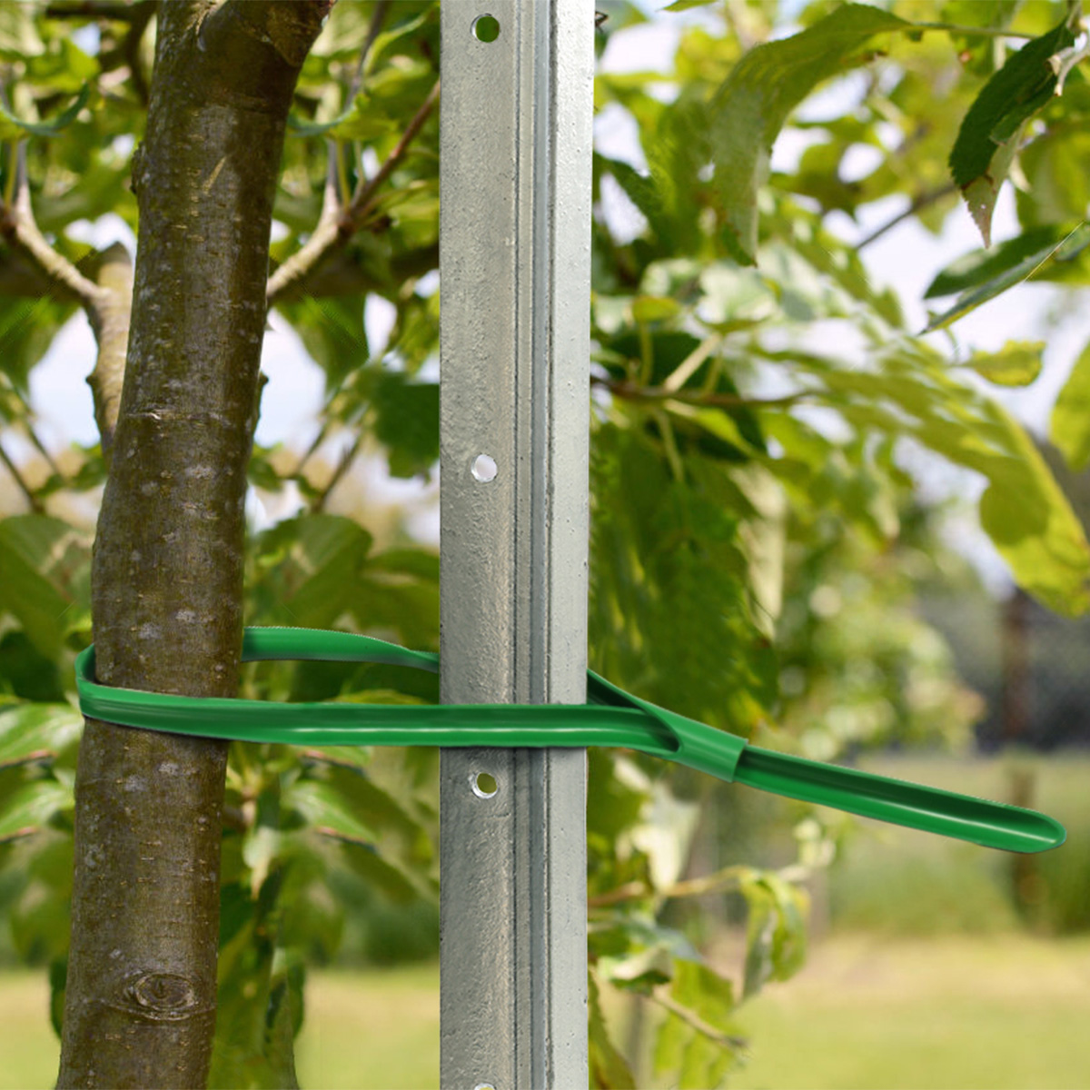 Plant Ties: Windsor Tree Tie